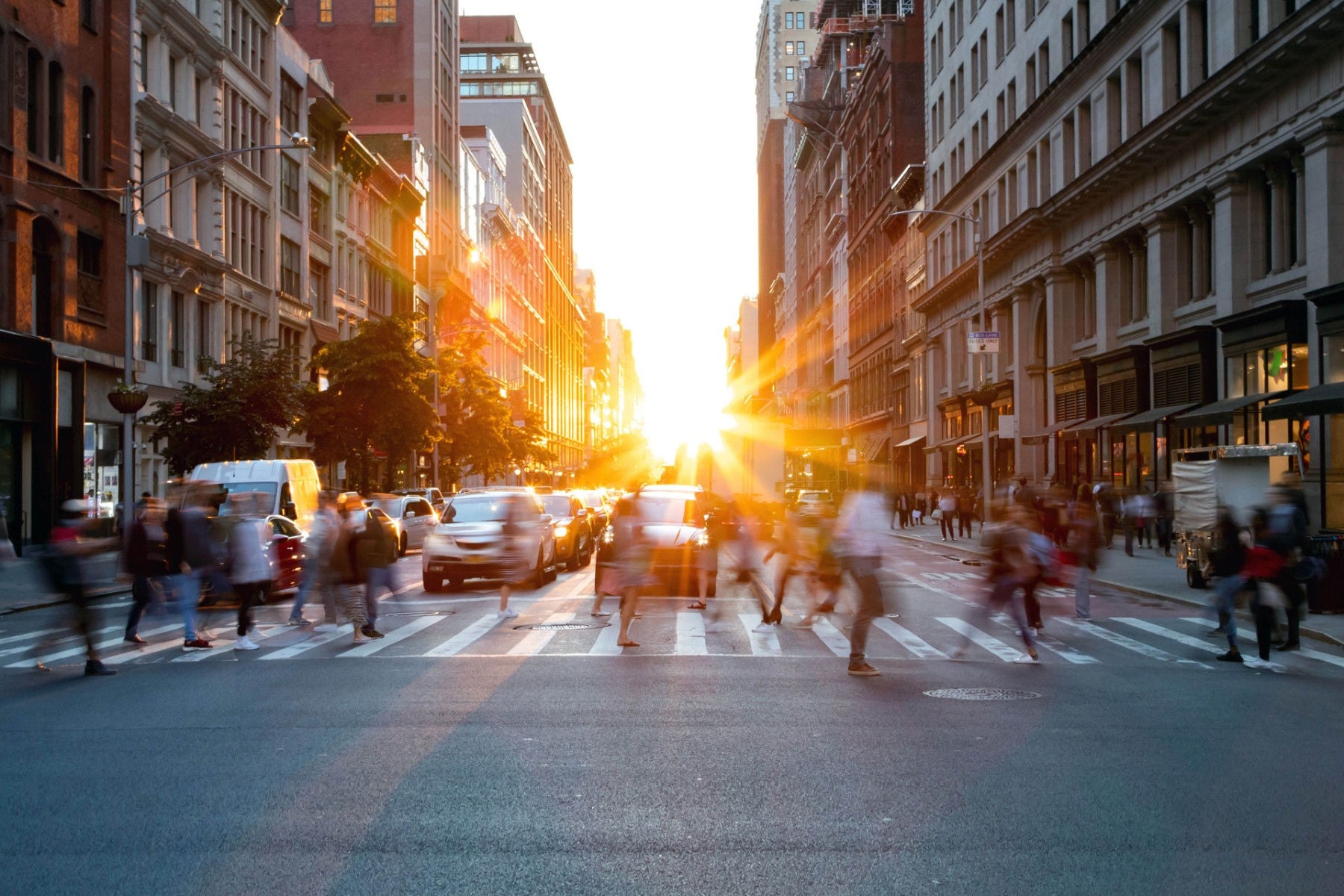 | Welcome to Mehlman Jacobs