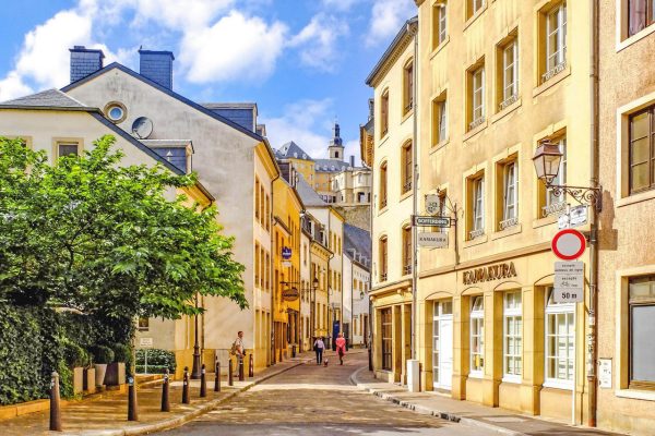 | Welcome to Mehlman Jacobs